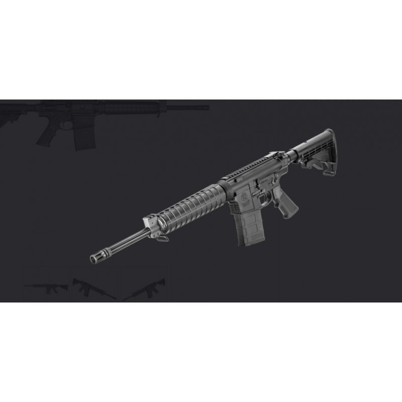 Smith&Wesson MP10 AR10 cal.308WIN - Putere și Precizie într-un Pachet ...